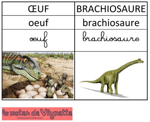 Vocabulaire autour du monde des dinosaures | La Mater de Vlynette